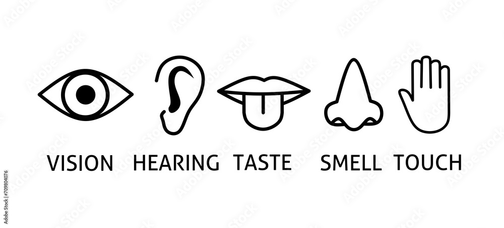 Vecteur Stock vector icons for the five senses. icons for vision ...