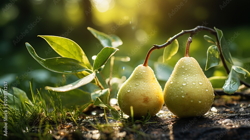 Autumn fruits fell to the ground. There is something incredibly ...