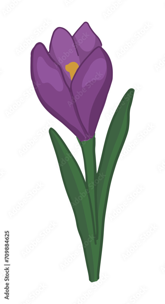 Crocus doodle. Spring time flower clipart. Cartoon vector illustration ...