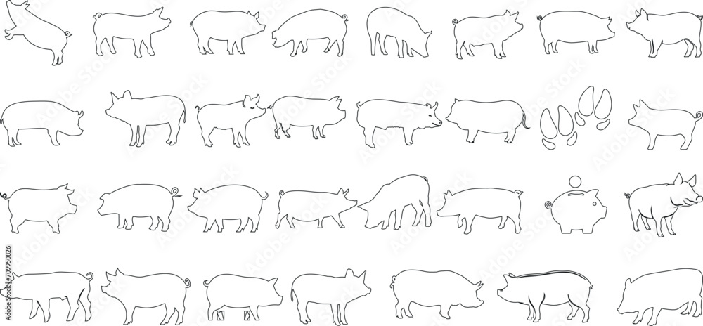 Vector pig outline collection, minimalist line art design. Various pig ...