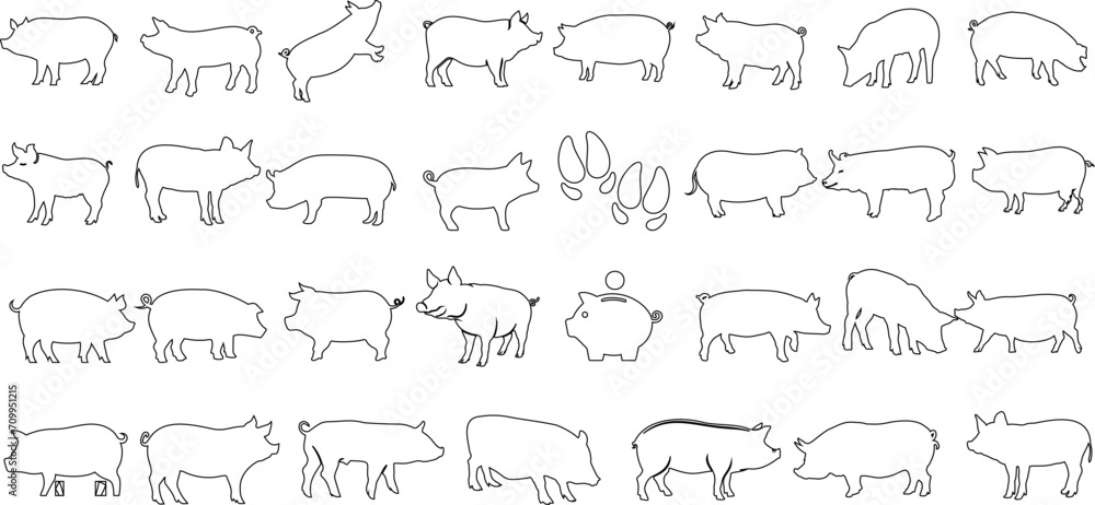 Hand drawn pig sketches, unique line art of pigs, various poses, sizes ...