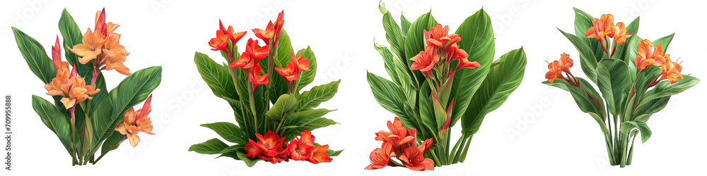 Canna Lily Flower Pile Of Heap Of Piled Up Together Hyperrealistic ...