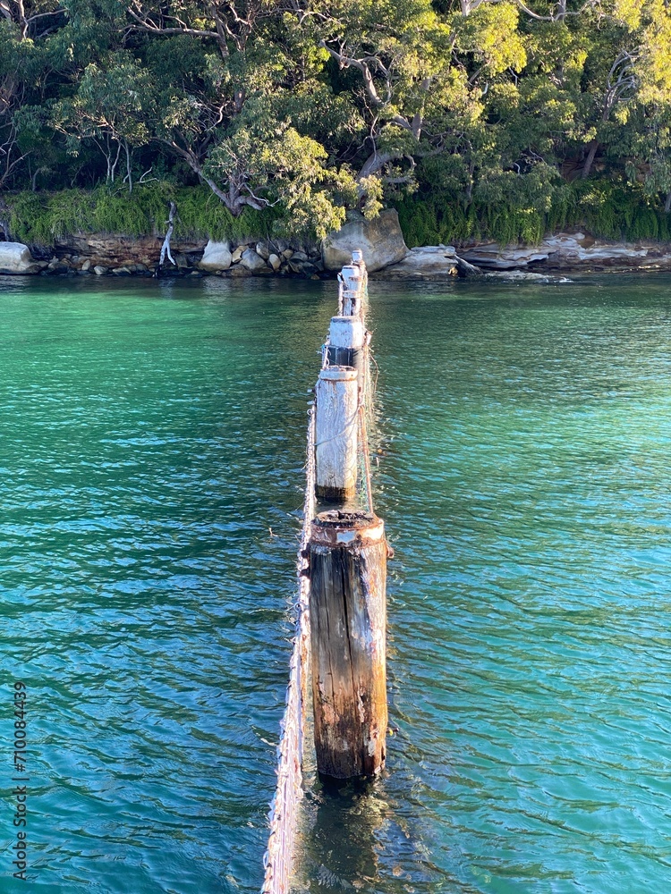 Wooden poles and net in turquoise water, near a dock. Shark-proof fence ...