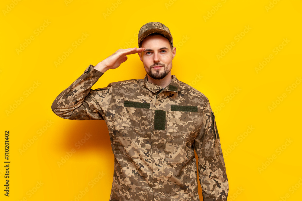 young Ukrainian male soldier in pixel camouflage uniform salutes on a ...