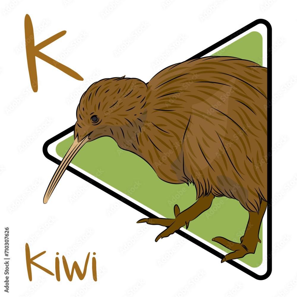 Kiwi are flightless, and nearly wingless birds endemic to New Zealand ...