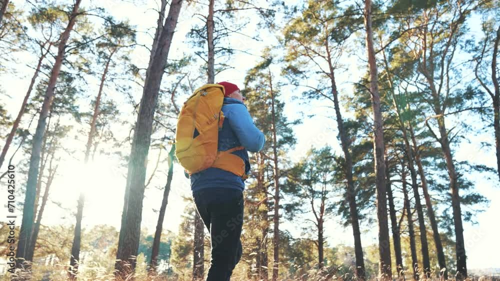 Tourism concept. tourist with backpack on walk in forest. man in the ...
