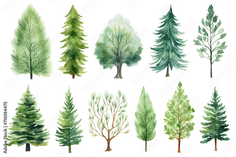 Watercolor painting Evergreens tree symbols on a white background ...