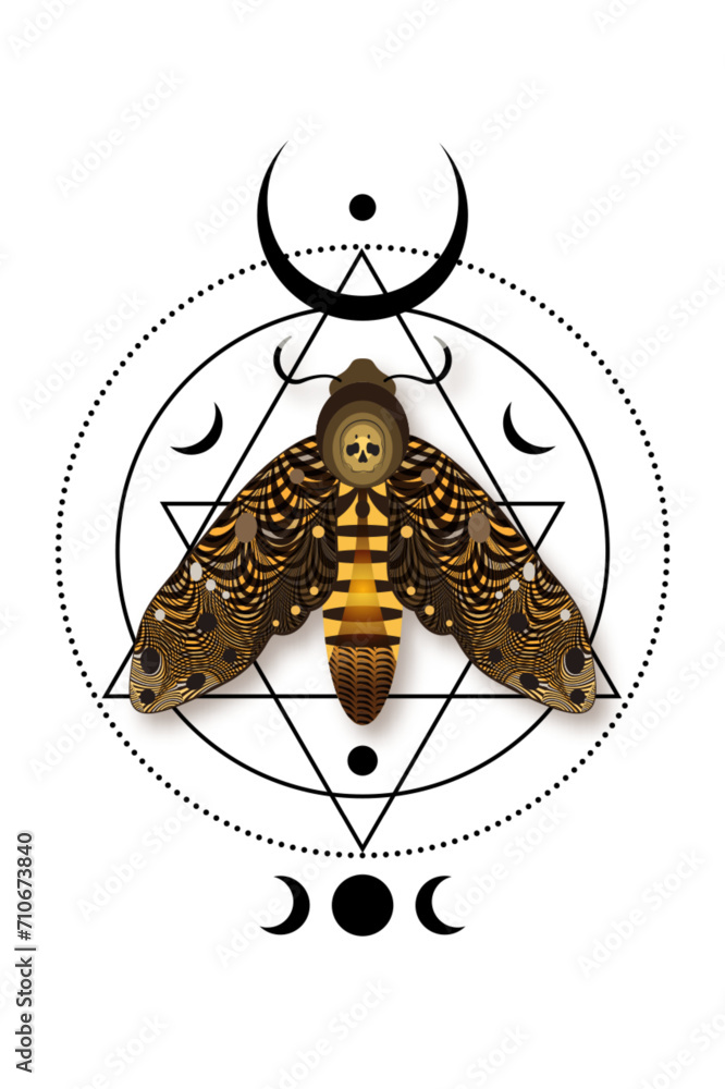 Mystical death head moth in dark brown colors. Cresent moon and wiccan ...