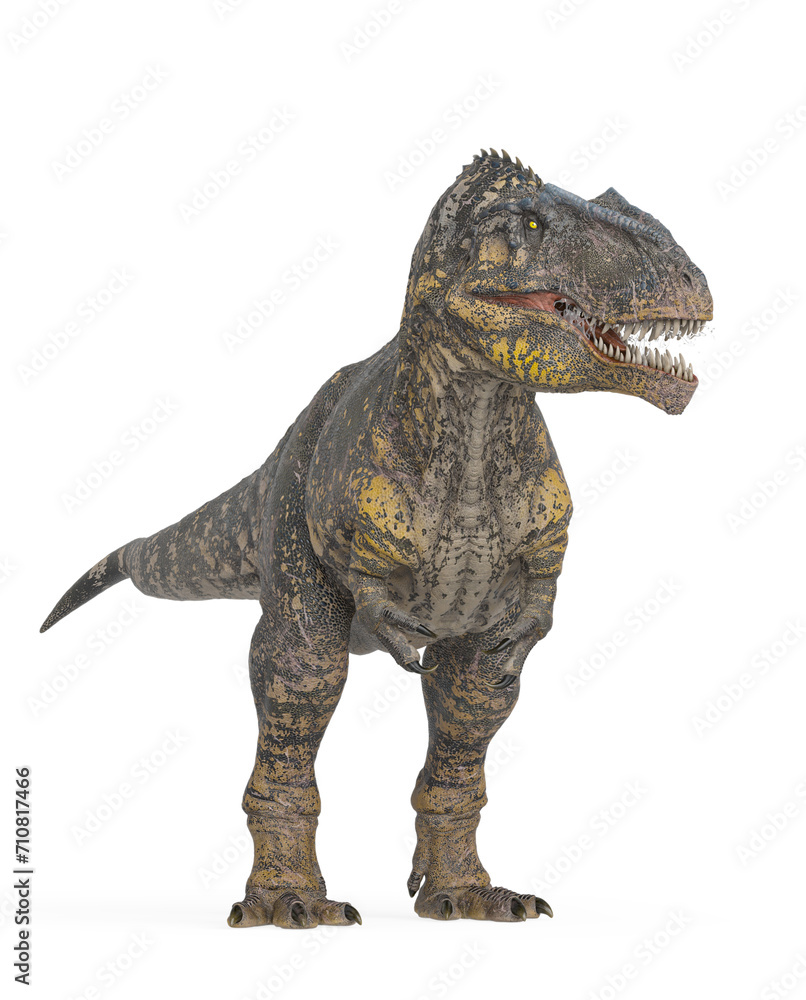 giganotosaurus is standing up on white background side view Stock ...