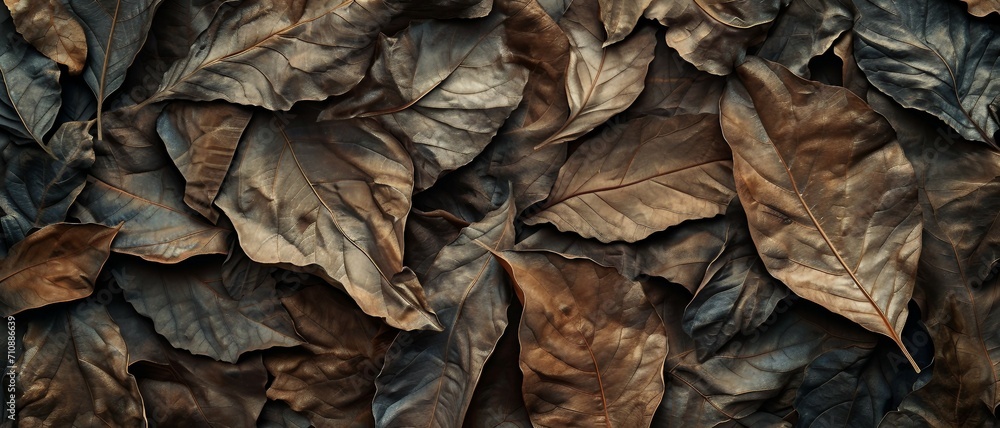 Crumpled Dried Leaves Texture background ,Dried Leaves Texture, can be ...