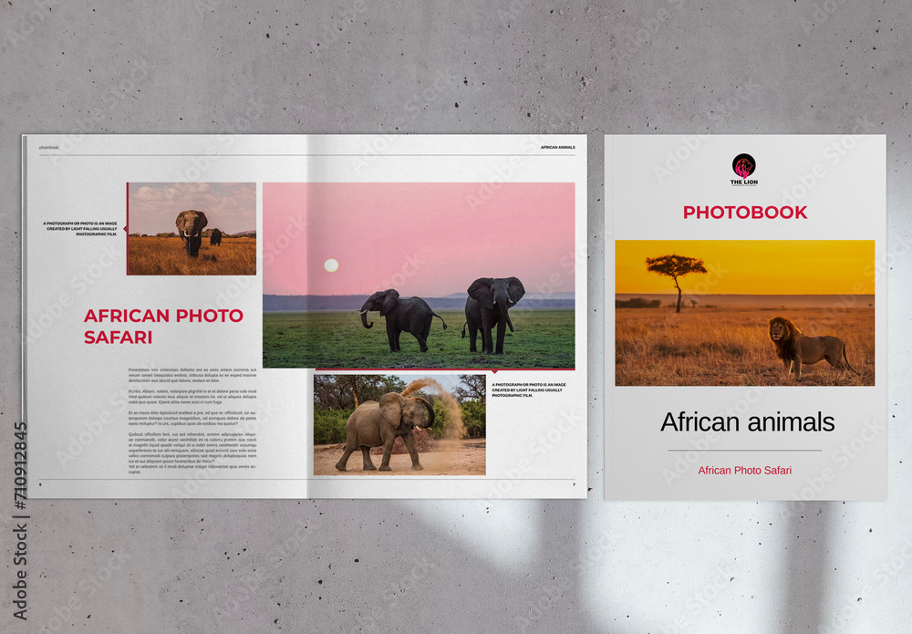 Safari Photobook Brochure Layout Stock Template | Adobe Stock