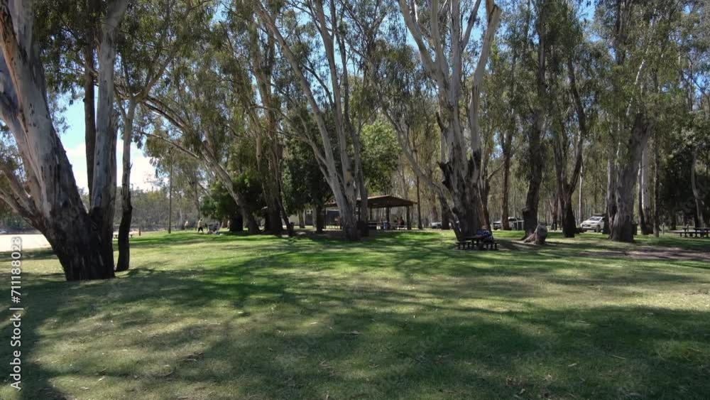 Large open outdoor space with a gazebo, grassy lawn and large gum trees ...