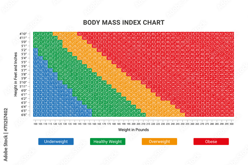 Body mass index (BMI) chart transparent background. BMI calculator to ...