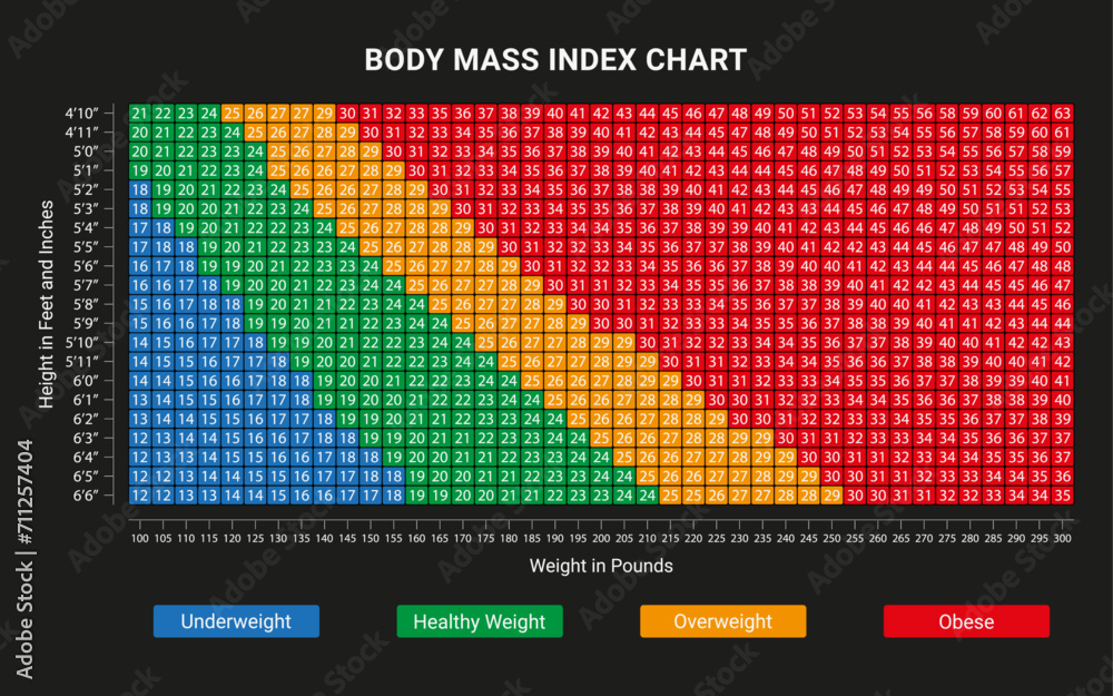 Vetor de Body mass index (BMI) chart vector illustration on black theme ...