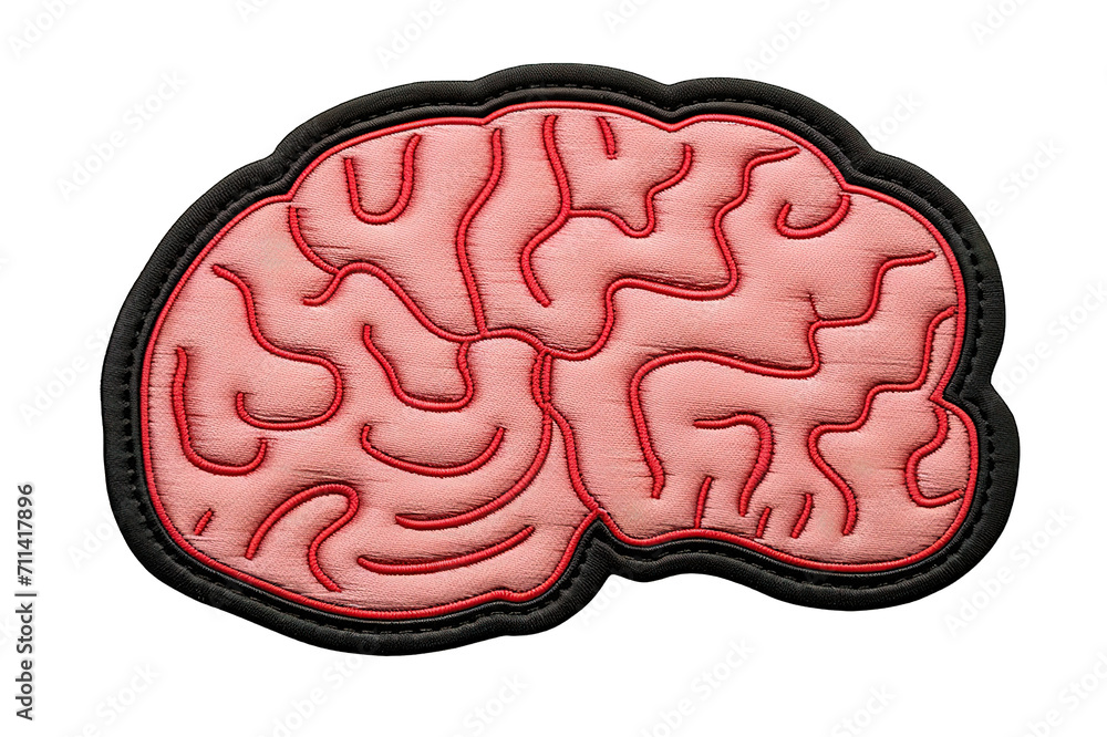 Structure of human brain section schematic raster illustration. Medical ...