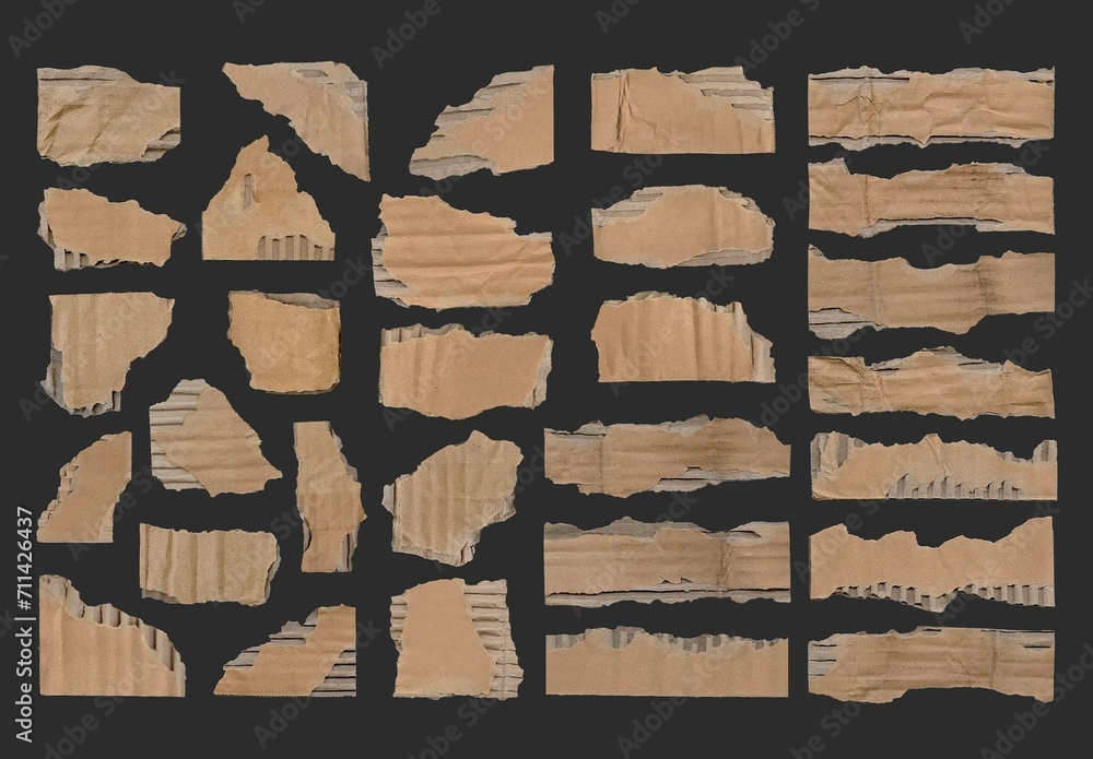 Torn Cardboard Pieces Pack Stock Template | Adobe Stock