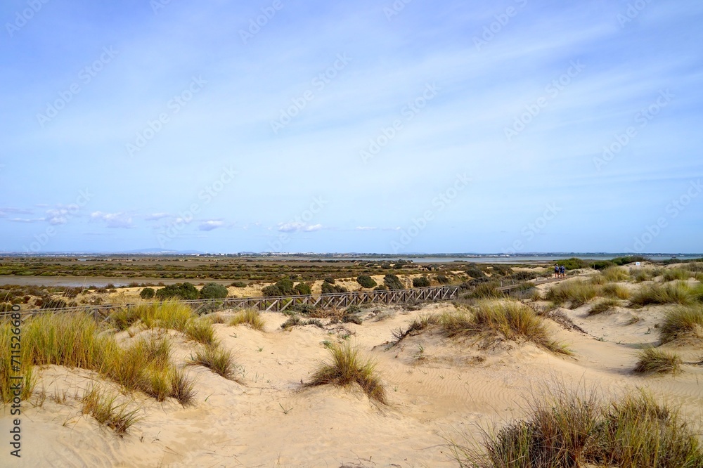 Punta del Boquerón, Bay of Cádiz Natural Park, dune landscape and ...