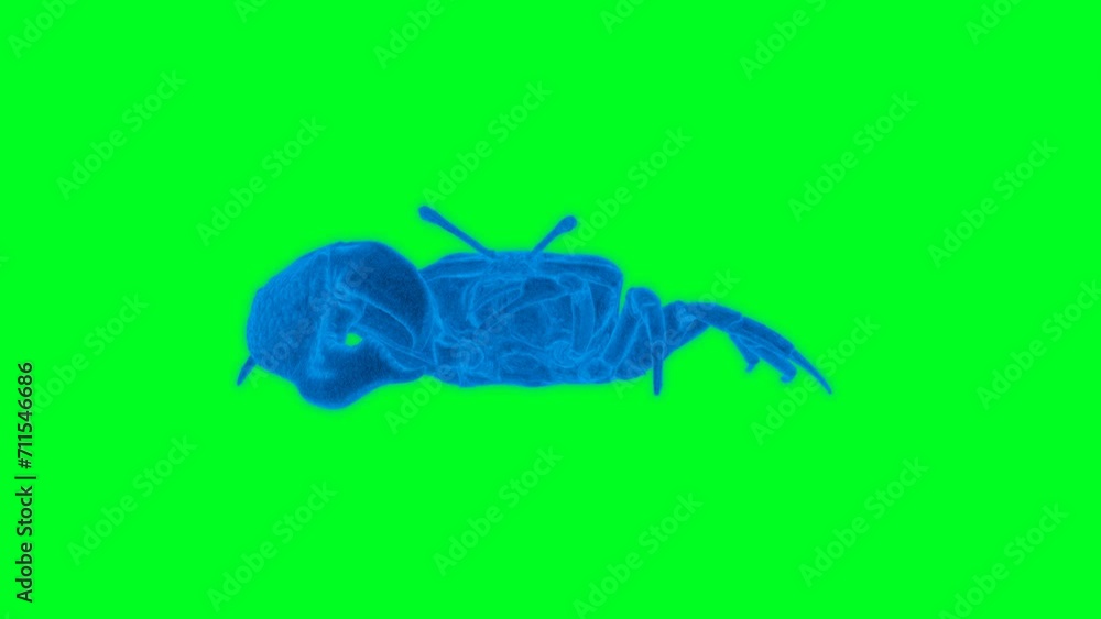 Vidéo Stock 4k green screen crab technology video, crab wireframe video ...