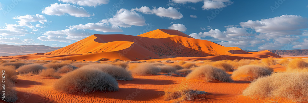 The robustness of ecosystems in deserts, demonstrating the versatility ...