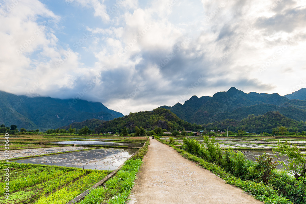 Mai Chau village landscape with rice paddy fields in North Vietnam. Mai ...