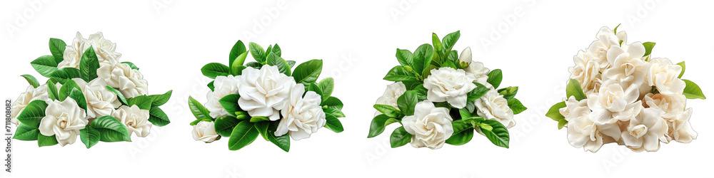 Gardenia Flower Pile Of Heap Of Piled Up Together Hyperrealistic Highly ...