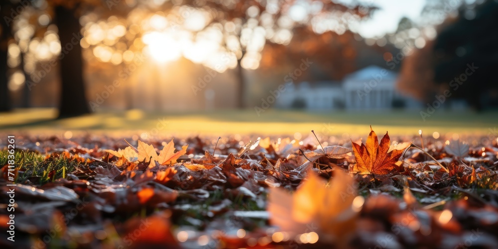 A golden heap of fallen leaves rests beneath a towering tree, basking ...