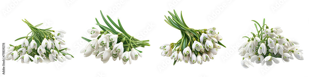 Snowdrop Flower Pile Of Heap Of Piled Up Together Hyperrealistic Highly ...