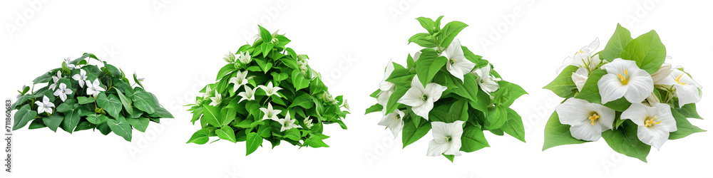 Trillium Flower Pile Of Heap Of Piled Up Together Hyperrealistic Highly ...