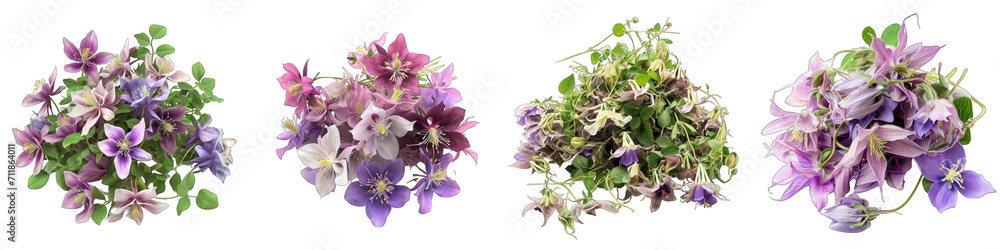 Western Columbine Flower Pile Of Heap Of Piled Up Together ...