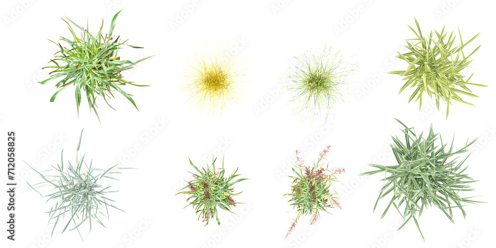 Jungle Switchgrass,Lovegrasses,Lemongrass,Forsythia Plant shapes cutout ...