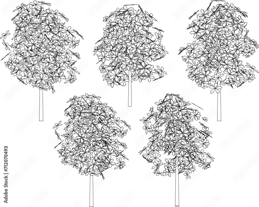Vector sketch illustration of tree plant design with flowers Stock ...