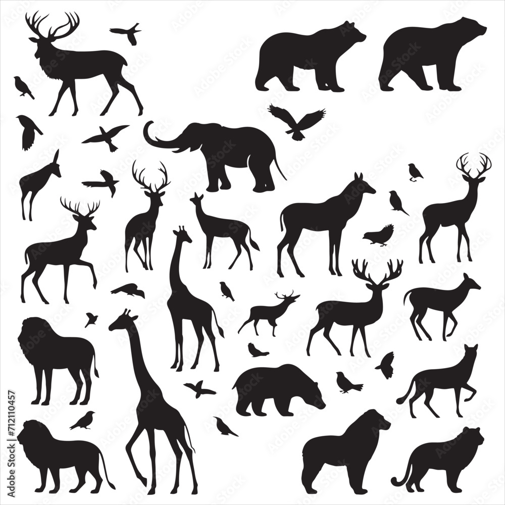 Shadows of the Untamed: Comprehensive Collection Featuring Wild Animals ...