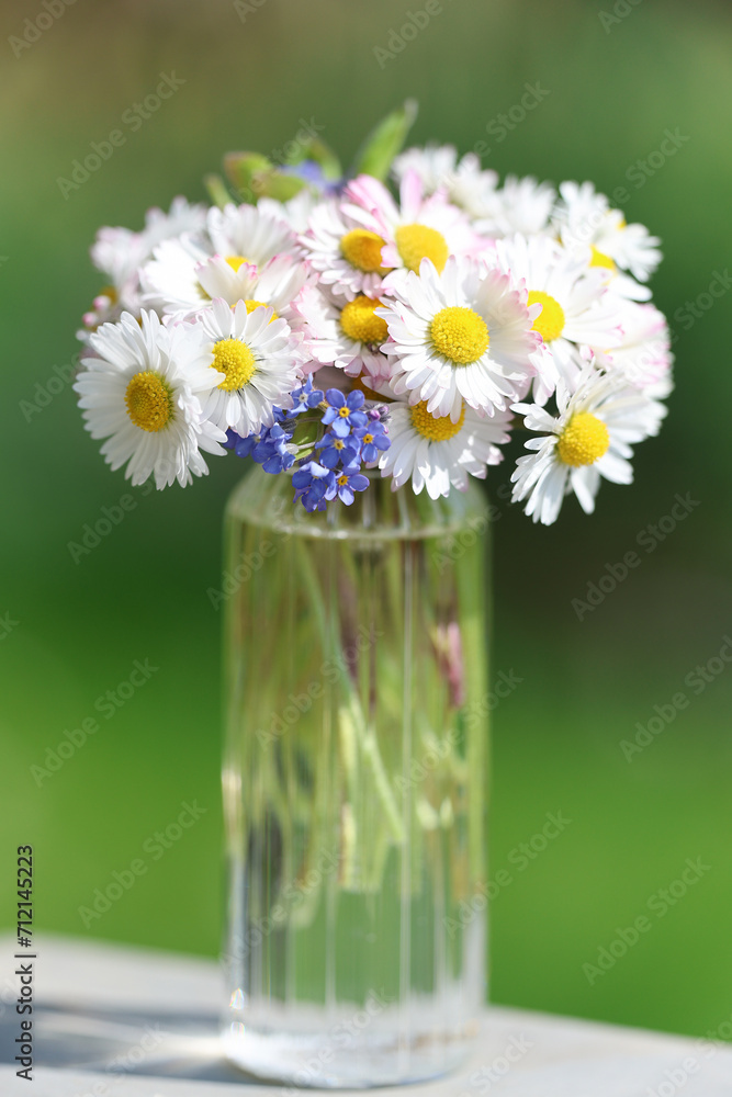 Beautiful spring bouquet of Daisy flowers, Daisies, with Forget Me Not ...