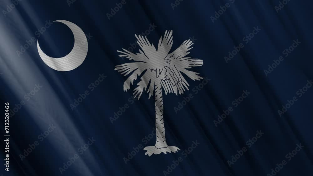 South Carolina Waving Flag. National 3d South Carolina Flag Waving ...