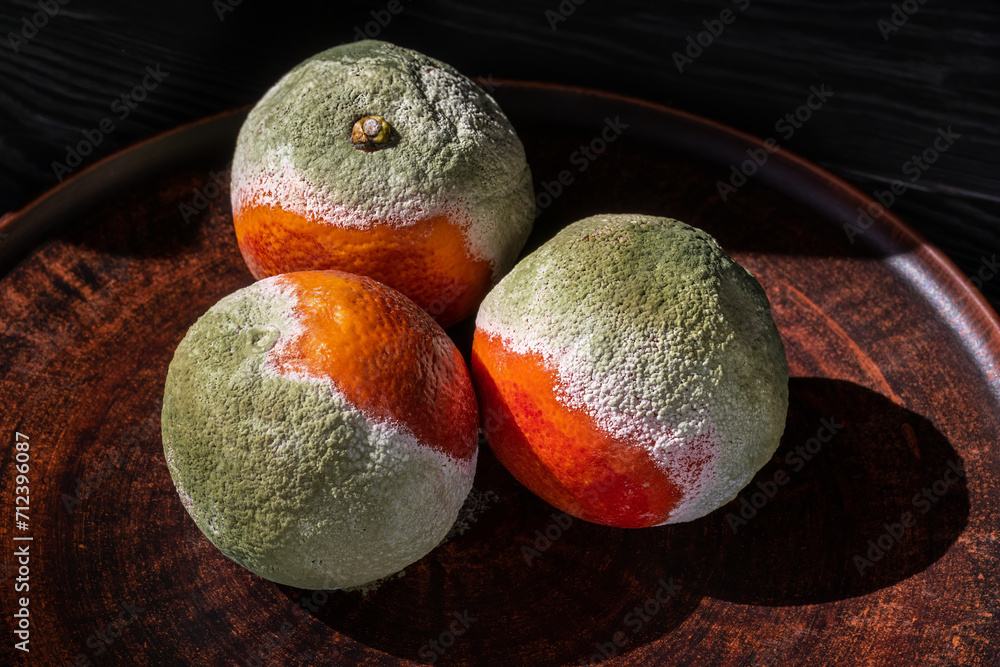 Moldy Sicilian oranges. Three Sicilian oranges covered with beautiful ...