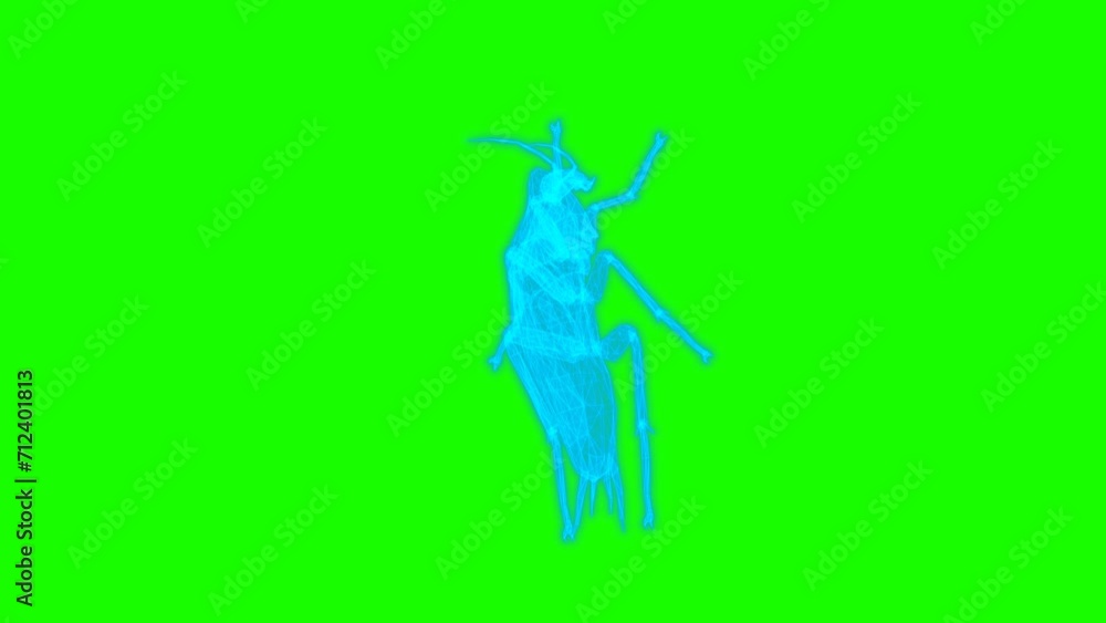 4k green screen Cockroach technology video. Cockroach technology video ...