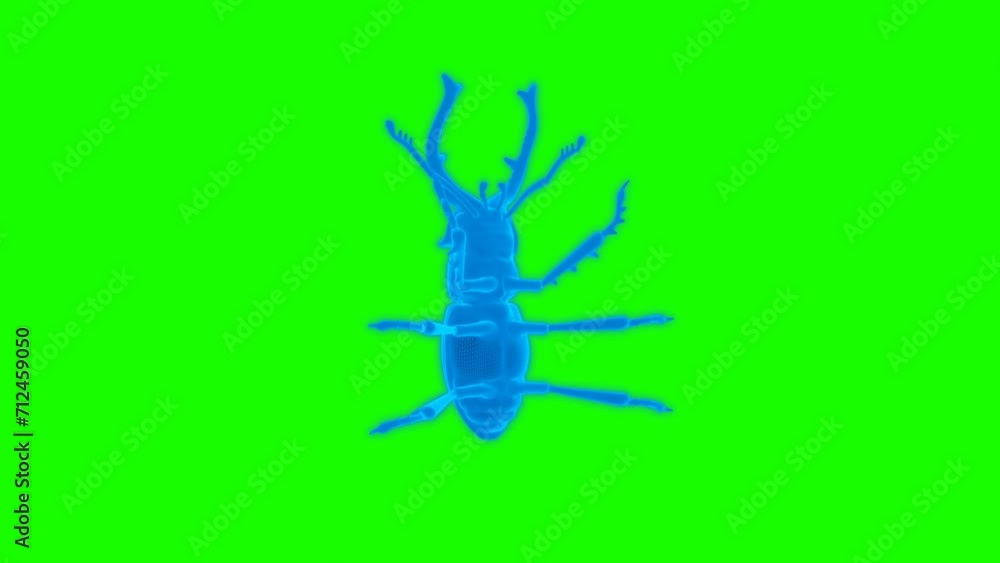 4k green screen Stag Beetle technology video. Stag Beetle technology ...