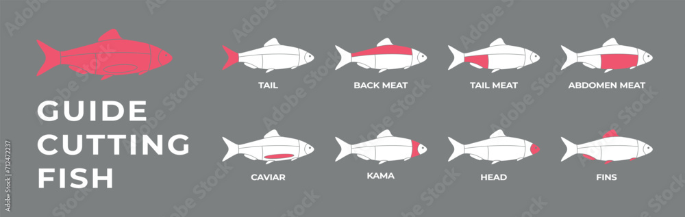 Cutting meat fish carcass, seafood, turkey, pork, lamb, cow, chicken ...