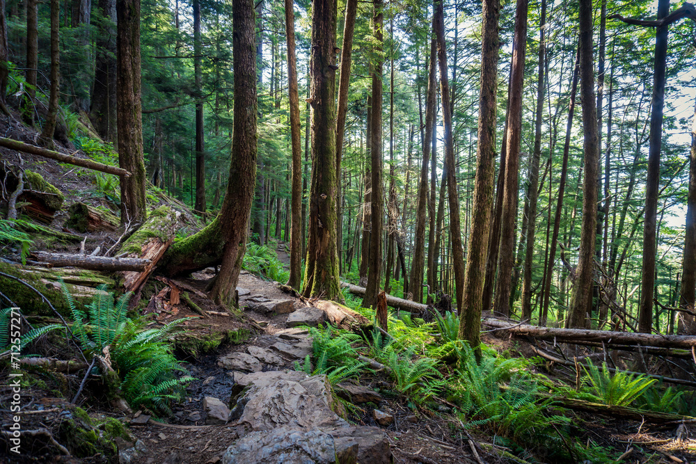 Rainbird Hiking Trail in Tongass National Forest in Ketchikan, Alaska ...