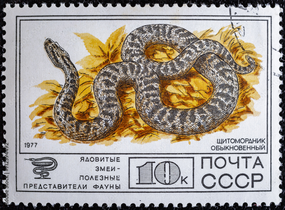 Soviet Union, circa 1977 : USSR post stamp from the Animals series.With ...