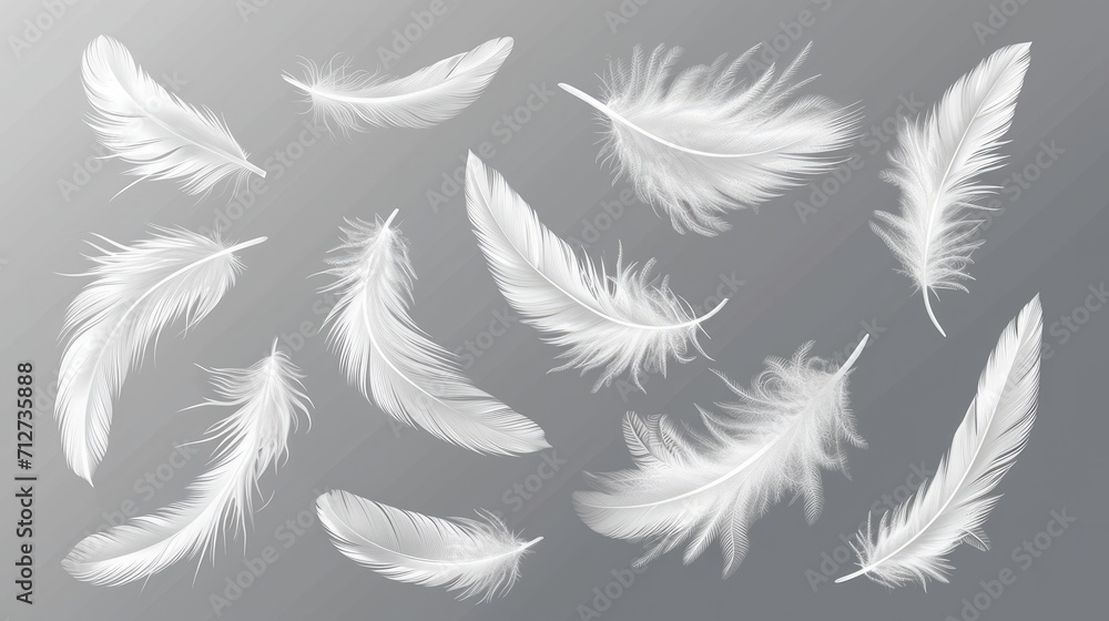 Vector white feathers collection, set of different falling fluffy ...