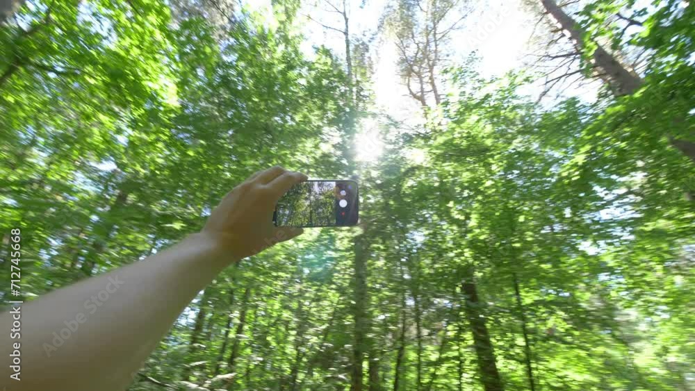 Tourist Capturing Photos and Recording Video of Beautiful Trees in the ...