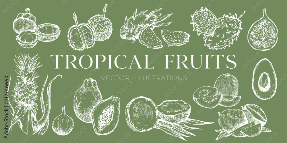 Tropical fruits illustrations, fruits drawings, coconut, collection ...