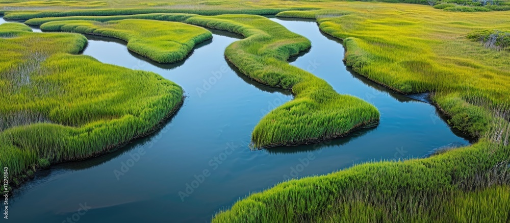 Meandering channels flow through a salt marsh in Pleasant Bay, Cape Cod ...