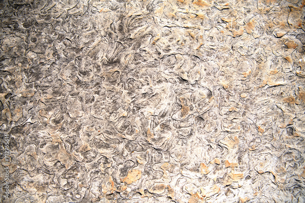 slab of natural stone with whimsical imprints of antiquities. limestone ...