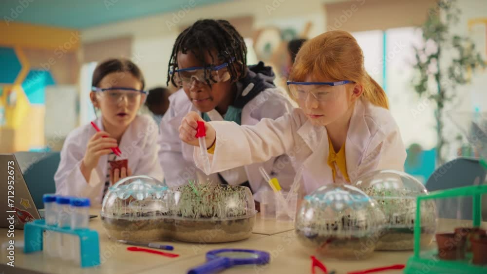 Vidéo Stock Elementary School Students Sitting Behind a Table in a ...