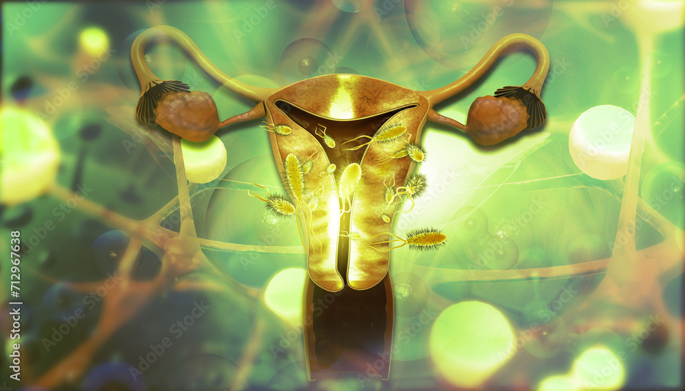 Uterus Anatomy On Scientific Background 3d Illustration Stock Illustration Adobe Stock