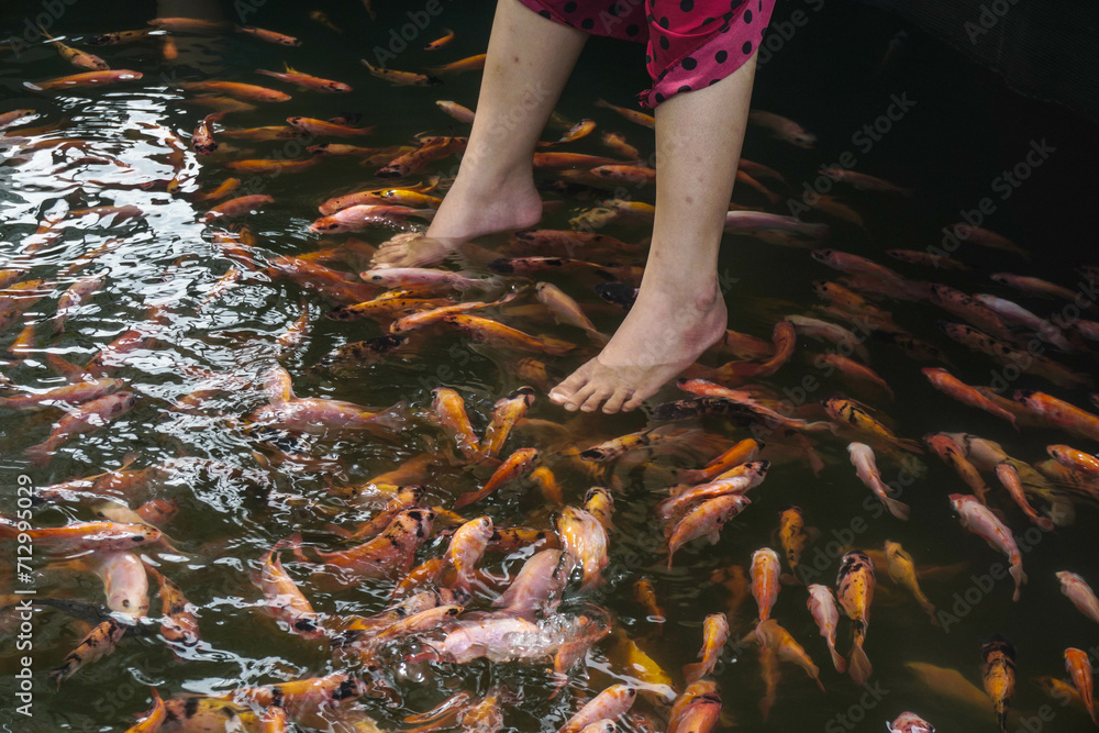 Tilapia fish therapy is a therapy using tilapia fish as a medium for ...