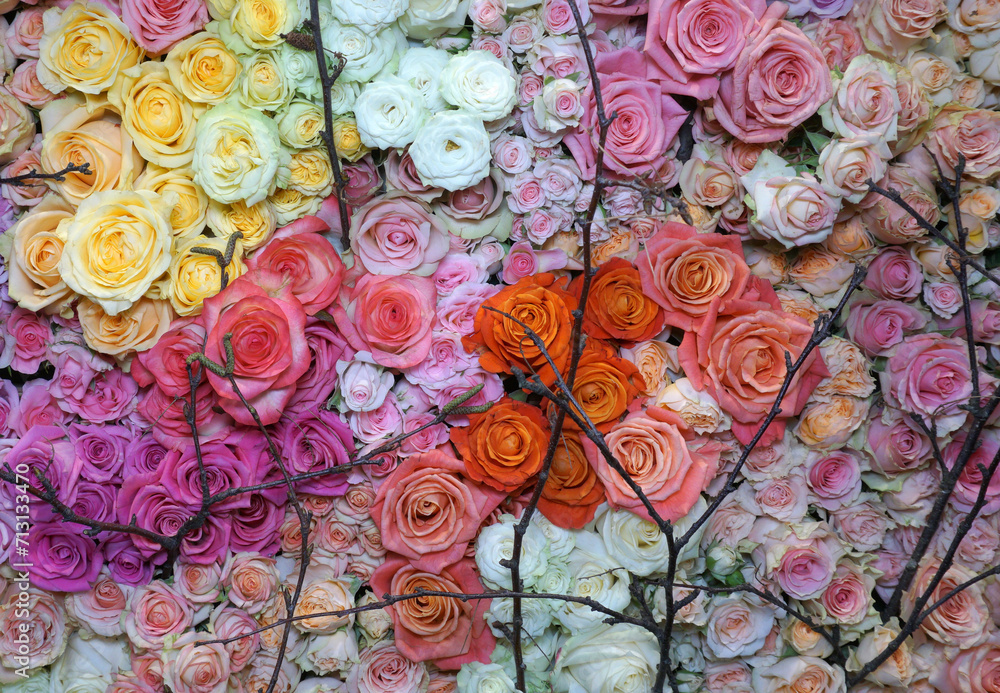 Flowers wall background with amazing pink, purple red, yellow, and ...