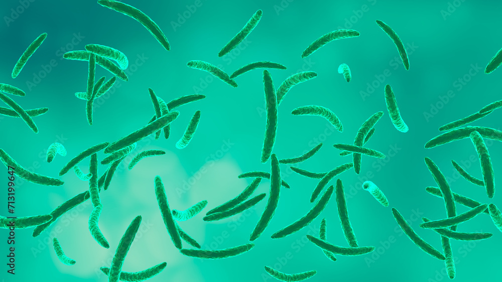 Fusarium solani is a filamentous fungus common in soil and colonizing ...